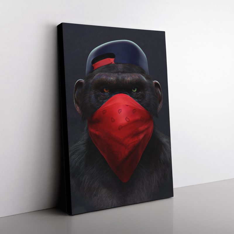 3 Wise Monkey’s Canvas - Pics on Canvas